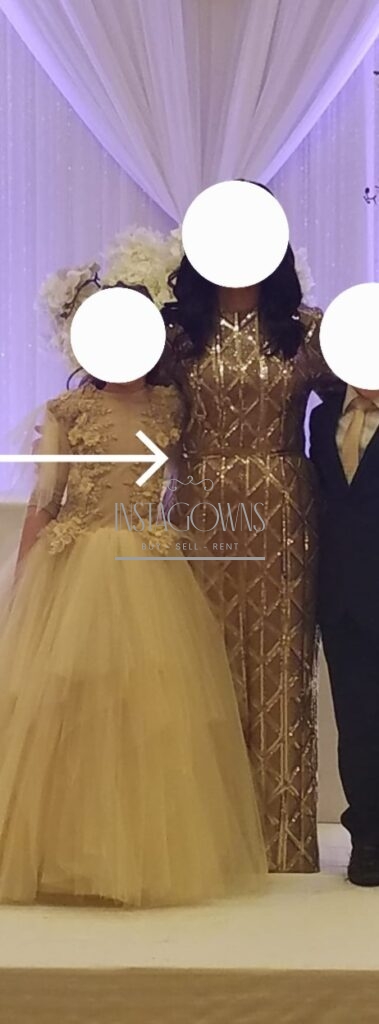 Bronze mother of the bride gown for sale – Instagowns